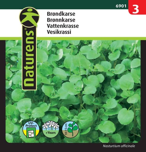 Köp Kryddfröer hos din trädgårdsmästare på nätet | Odla.nu