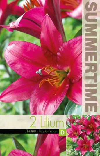 Köp Lilja, Hög 'Purple Prince' 2st hos din trädgårdsmästare | Odla.nu