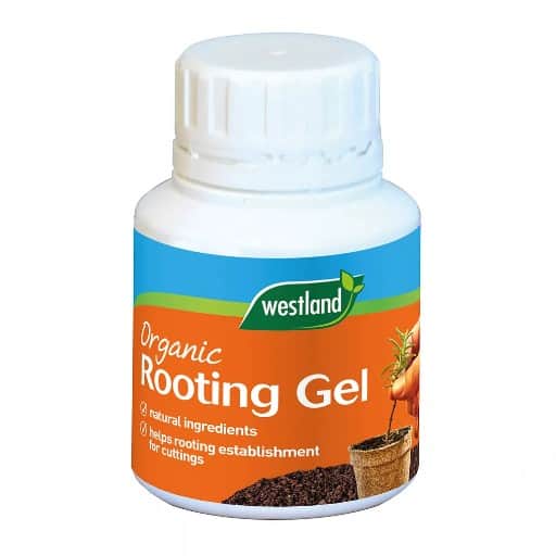Köp Westland 'Rooting Gel' 150g hos din trädgårdsmästare på | Odla.nu