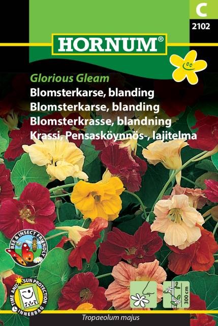 Köp Slingerkrasse 'Glorious Gleam' Mix hos din trädgårdsmäs | Odla.nu