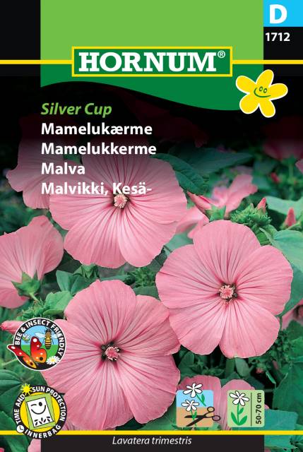 Köp Malva 'Silver Cup' frö hos din trädgårdsmästare på näte | Odla.nu
