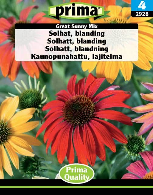 Köp Rudbeckia & Solhatt hos din trädgårdsmästare på nätet | Odla.nu